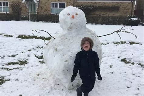 How To Build The Perfect Snowman Baseballprince20
