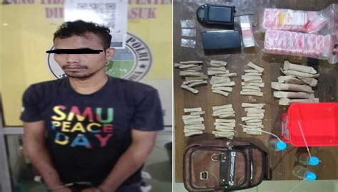 Tim Gabungan TNI Polri BNNK Dan Pemko Binjai Grebek Kampung Narkoba