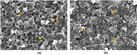 Sem Micrograph Showing The Intergranular Fractures In A Si3n4 And B