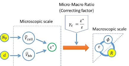 Scheme Of Correlation Between Cell Density Download Scientific Diagram
