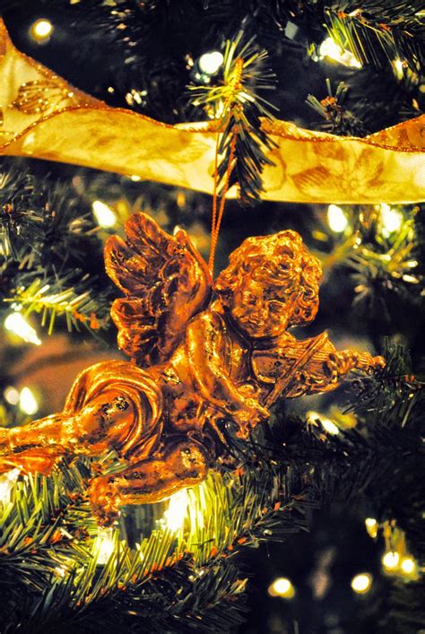 무료 이미지 나무 빛 밤 꽃 가을 휴일 크리스마스 트리 리본 크리스마스 장식 크리스마스 천사 장식적인 2217x3311 1226021 무료