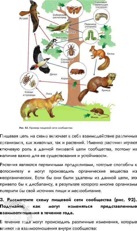(Решено)Параграф 18 ГДЗ Пасечник Суматохин Гапонюк 7 класс по биологии