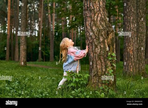 Bonne Petite Fille De Recherche Le Long D Un Tronc D Arbre Voyant Un Oiseau Ou Un Cureuil Photo