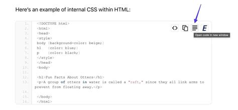 Comment Afficher Du Code Dans Wordpress Et Le Rendre Joli Kinsta®
