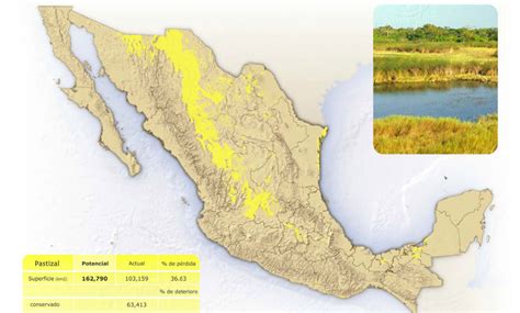 Distribución de las regiones naturales de México Nueva Escuela