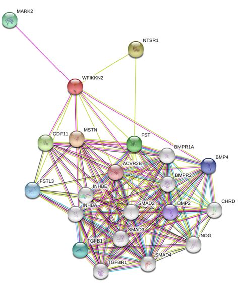 Gasp 1wfikkn2 General Information Sino Biological