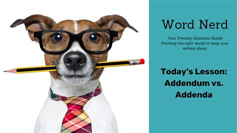 Word Nerd Addendum Versus Addenda Sda