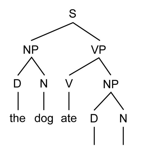 ANALYZING SENTENCE STRUCTURE THE TREE DIAGRAM