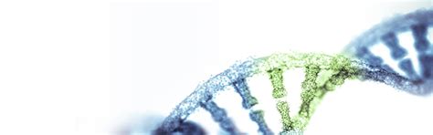 Targeted Sequencing