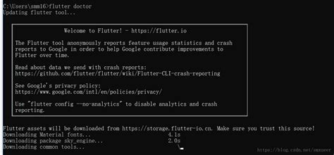 Flutter Idea Android Studio Flutter
