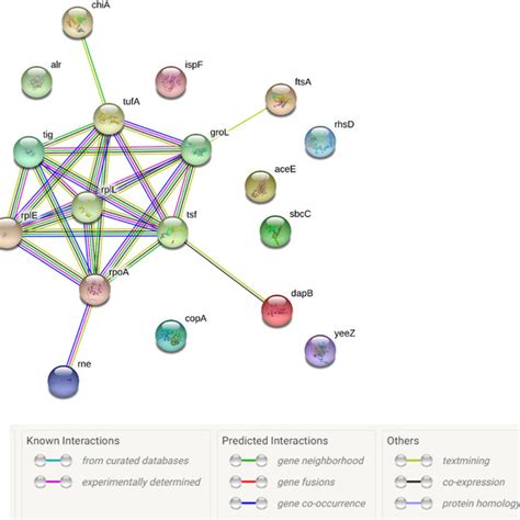 String Network Analysis Showing The Interaction Of Differentially