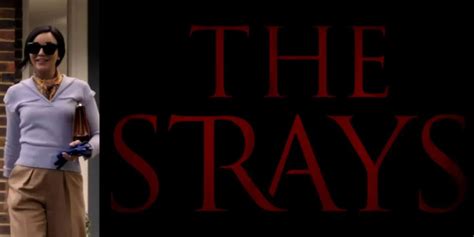 Sinopsis Film The Strays Film Original Netflix Yang Bergenre Drama