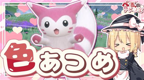 1歩も動かず！可愛いオタチ＆オオタチの色違い厳選方法【ポケモンsv】【ゆっくり実況】 Youtube