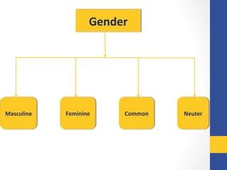 Gender And Types English Grammar PDF