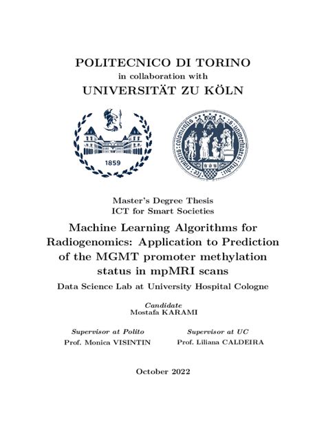 Fillable Online POLITECNICO DI TORINO Fax Email Print PdfFiller