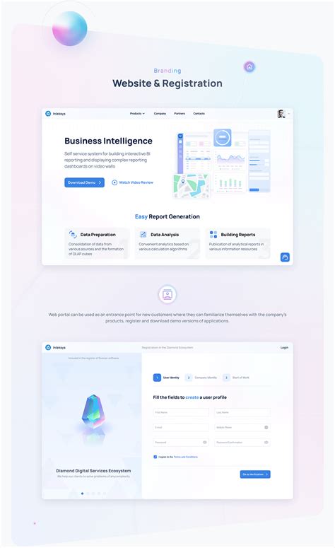 Diamond Bi — Interactive Reporting System Behance