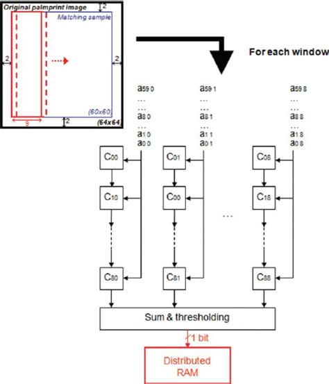 Image Sizes During Processing Original Images 64 64 Pixels Download Scientific Diagram