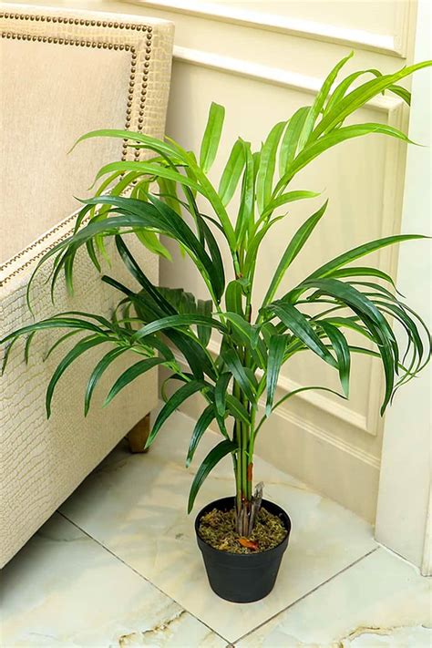 Kentia Palm Artificial 90cm Shop Now At Plantshopme