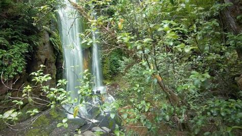 Korokoro 影像 瀏覽 78 個素材庫相片、向量圖和影片 Adobe Stock