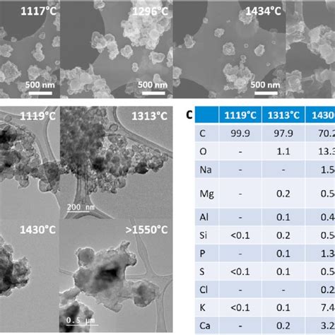 Overall Morphology And Elemental Composition Of The Investigated