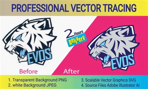 Do Manually Vector Tracing By Graphicsamiul Fiverr