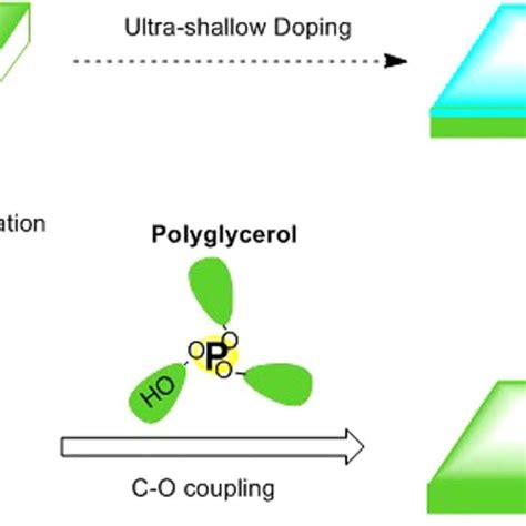 Dendrimer Like Macromolecule Doping Protocol Download Scientific Diagram