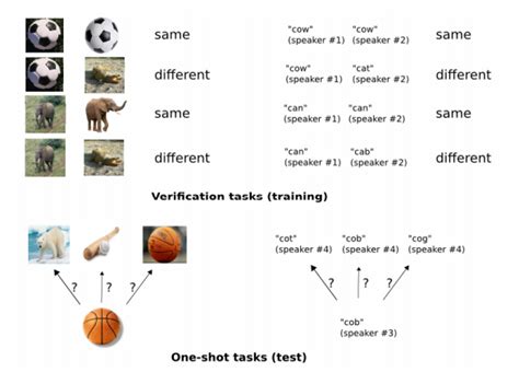 One Shot Learning One Of The Biggest Criticisms Of By Connor