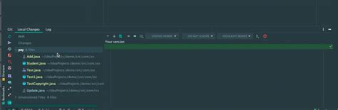 Intellij IDEA ChangeList 知乎