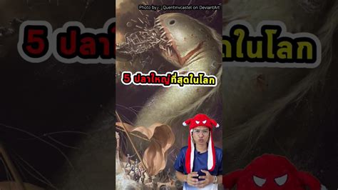 5 ปลาใหญ่สุดในโลก 💥🐳 จัดอันดับ ปลาใหญ่สุดในโลก สารคดีน่ารู้ Youtube