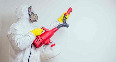 Tips For Detecting Termites In Your Home