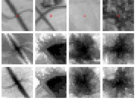 Figure 2 From Edge Preserving Smoothing Using A Similarity Measure In