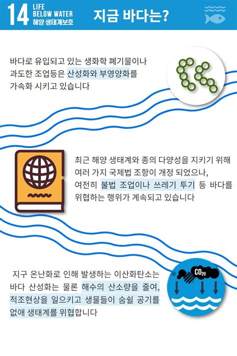 이달의 Sdg Sdg 14 해양 생태계 보호 네이버 포스트
