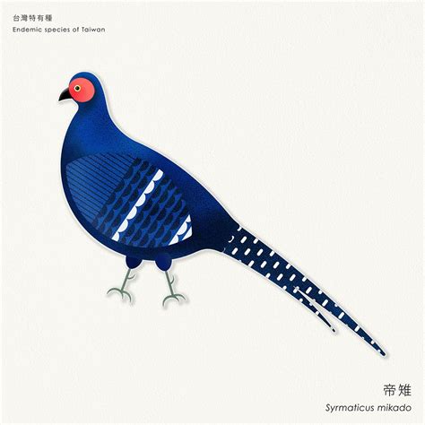Endemic Species Of Taiwan On Behance Illustration Artwork Drawing