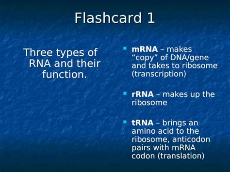 PPT Flashcard 1 Three Types Of RNA And Their Function MRNA Makes