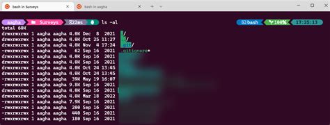 Cant Get Git Segment To Appear On Ubuntu Wsl2 · Issue 3046