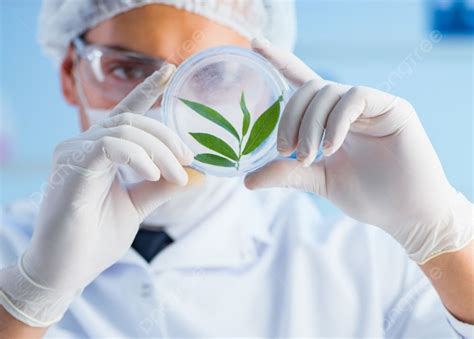 The Biotechnology Concept With Scientist In Lab Biotechnology Concept