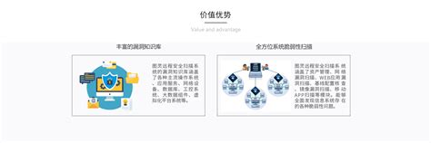 图灵远程安全扫描系统 四川图灵信安科技有限公司