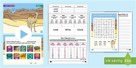 Year Term B Week Spelling Pack Teacher Made Twinkl