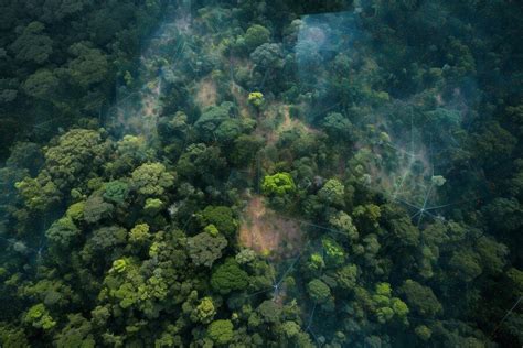 Premium Photo Using Satellite Imagery To Analyze Forests And Track