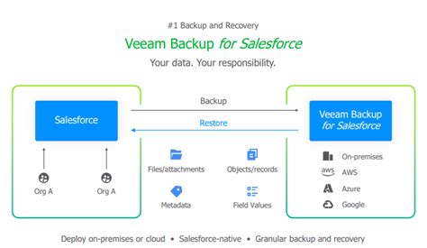veeam salesforce backup and restore solution