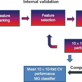 The Internal Dataset Validation Procedure Download Scientific Diagram