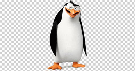 Descarga Gratis Pingüinos De Madagascar Pingüinos De Madagascar
