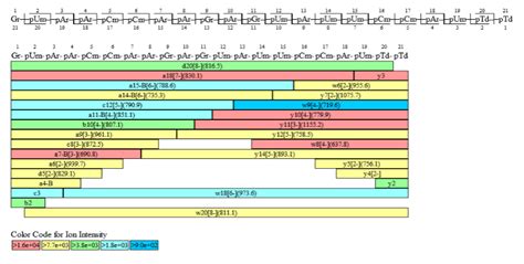 寡核苷酸药物的代谢及代谢产物分析和鉴定研究 知乎