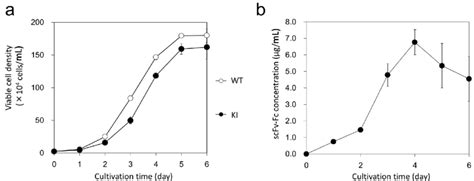 Cell Growth And Production Of Scfv Fc A Growth Curves Of Wild Type