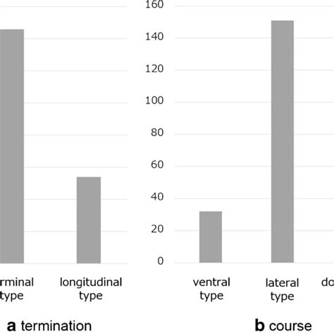 Schematic Drawings Of Anatomical Configurations Of Perforating Arteries Download Scientific