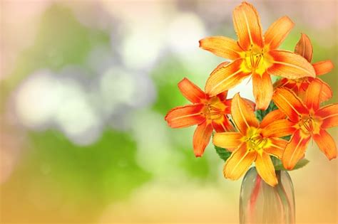 자연에 왼쪽에 텍스트에 대 한 빈 장소를 가진 유리 제 화병에 있는 아름 다운 라이브 백합 꽃다발 꽃다발 고 Bokeh 배경 분기 개념에 대한 스톡 사진 및 기타 이미지