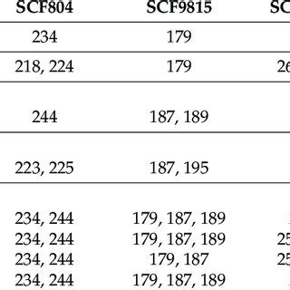 Simple Sequence Repeat Ssr Marker Panel And Capillary Dna Fragment