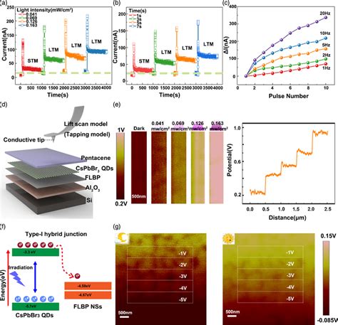 Correlation Between Film Charge‐trapping Behavior And Optical Visual