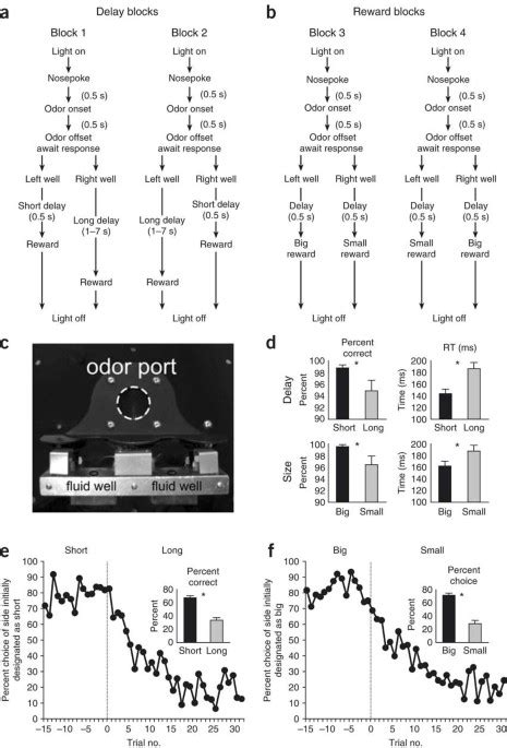Dopamine Neurons Encode The Better Option In Rats Deciding Between Differently Delayed Or Sized