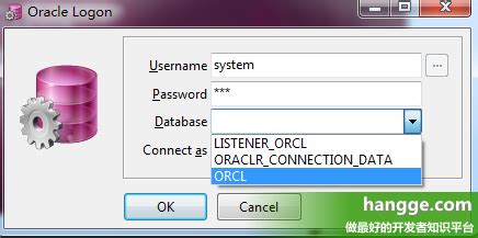 Oracle Pl Sql Developer